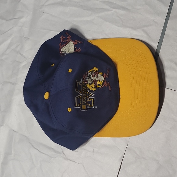 Warner Bros. | Accessories | Vintage Looney Tunes Taz Michigan ...